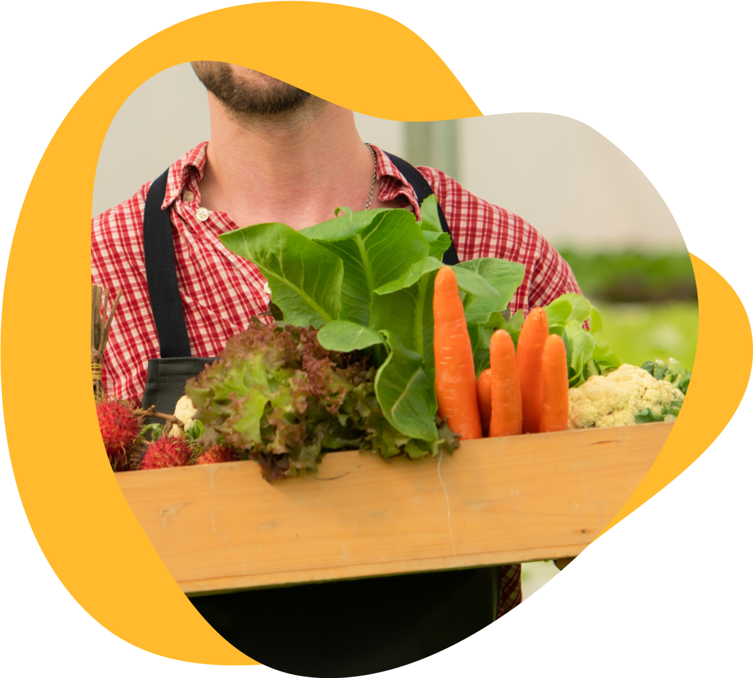 happy cafeterias – Chartwells