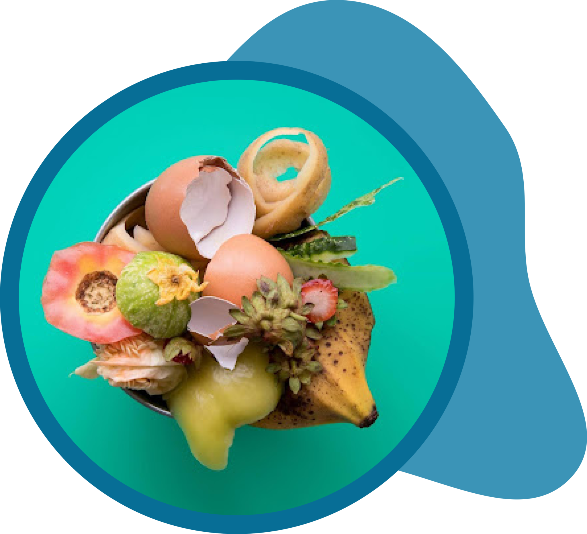 holistic meals – Chartwells